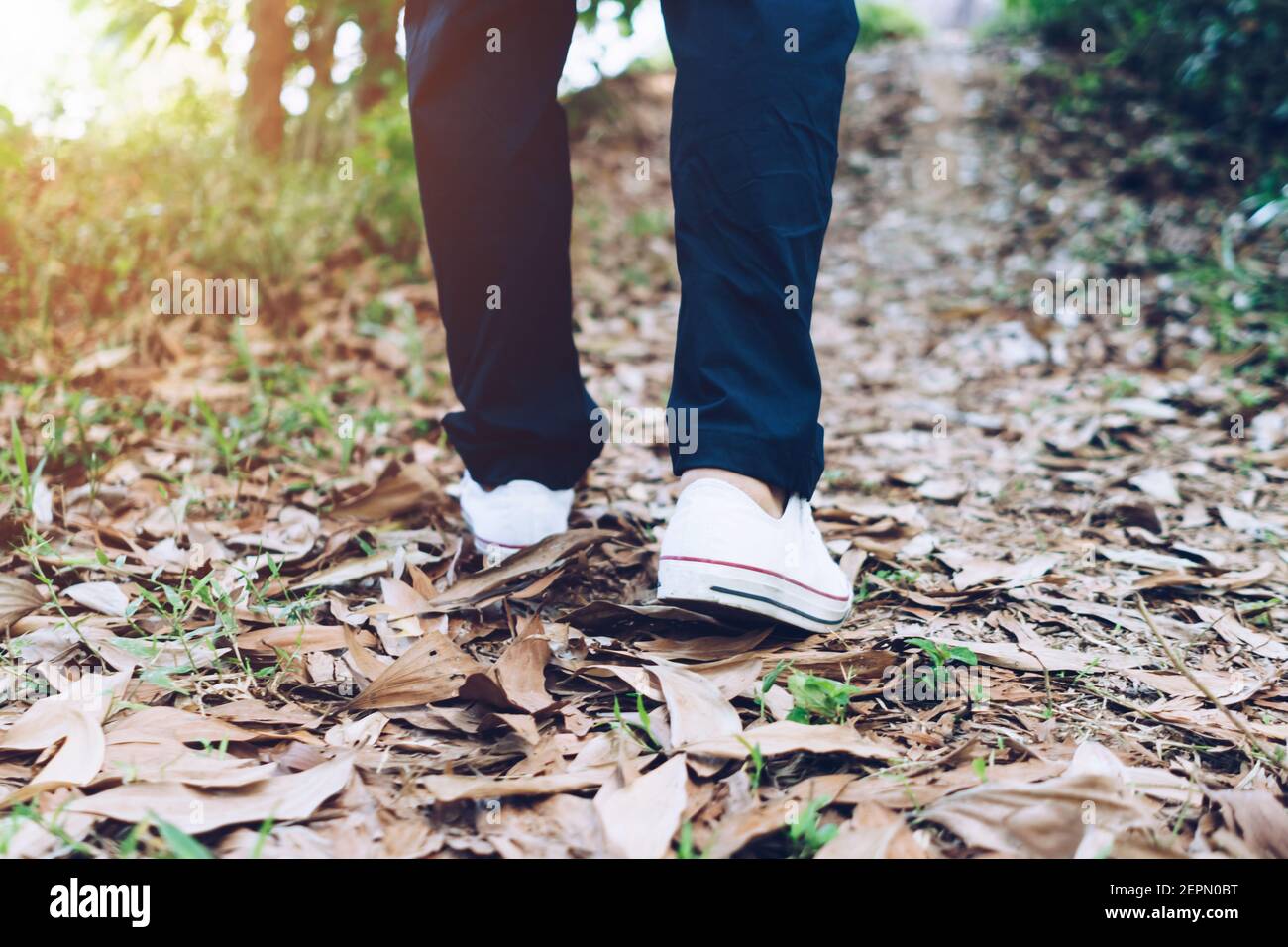 Man is walking into the wood or jungle nature walk way with sunlight ...