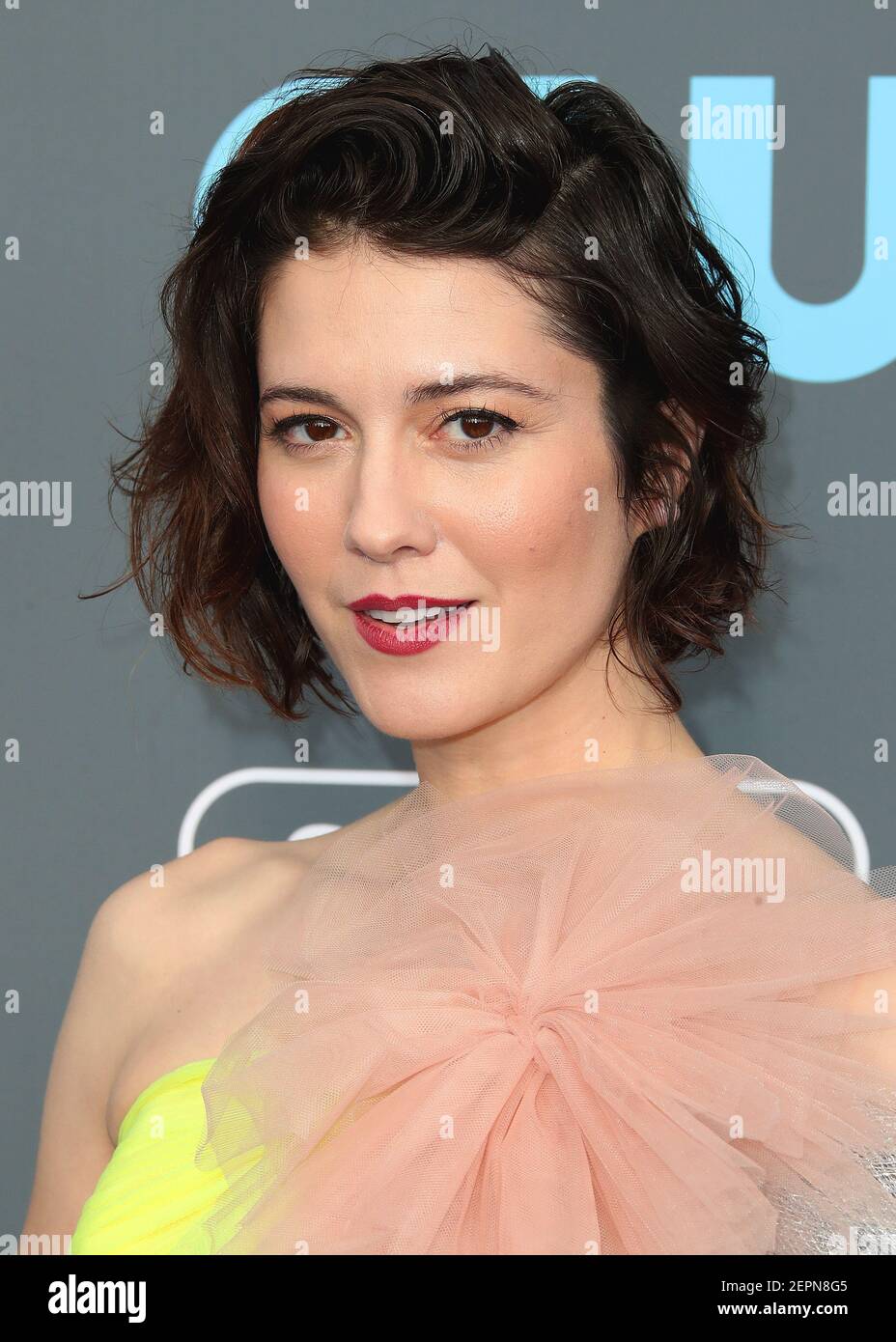 SANTA MONICA, CA - JANUARY 11: Mary Elizabeth Winstead at the 23rd ...