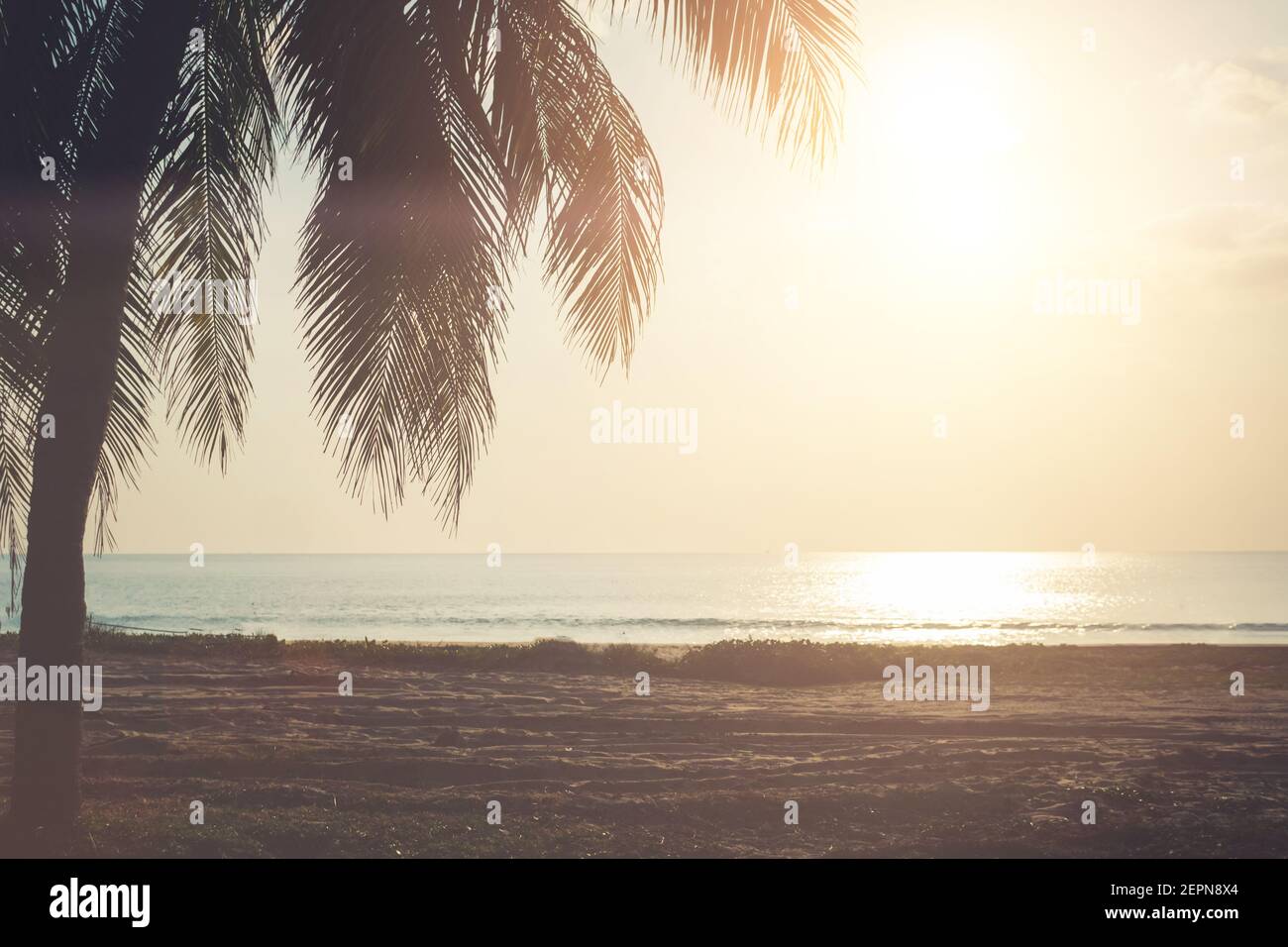 Tropical nature clean beach sunset sky time with sun light background ...