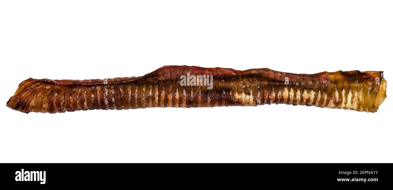 Dog treats. Natural healthy chewy treats for pets. Dried beef trachea ...