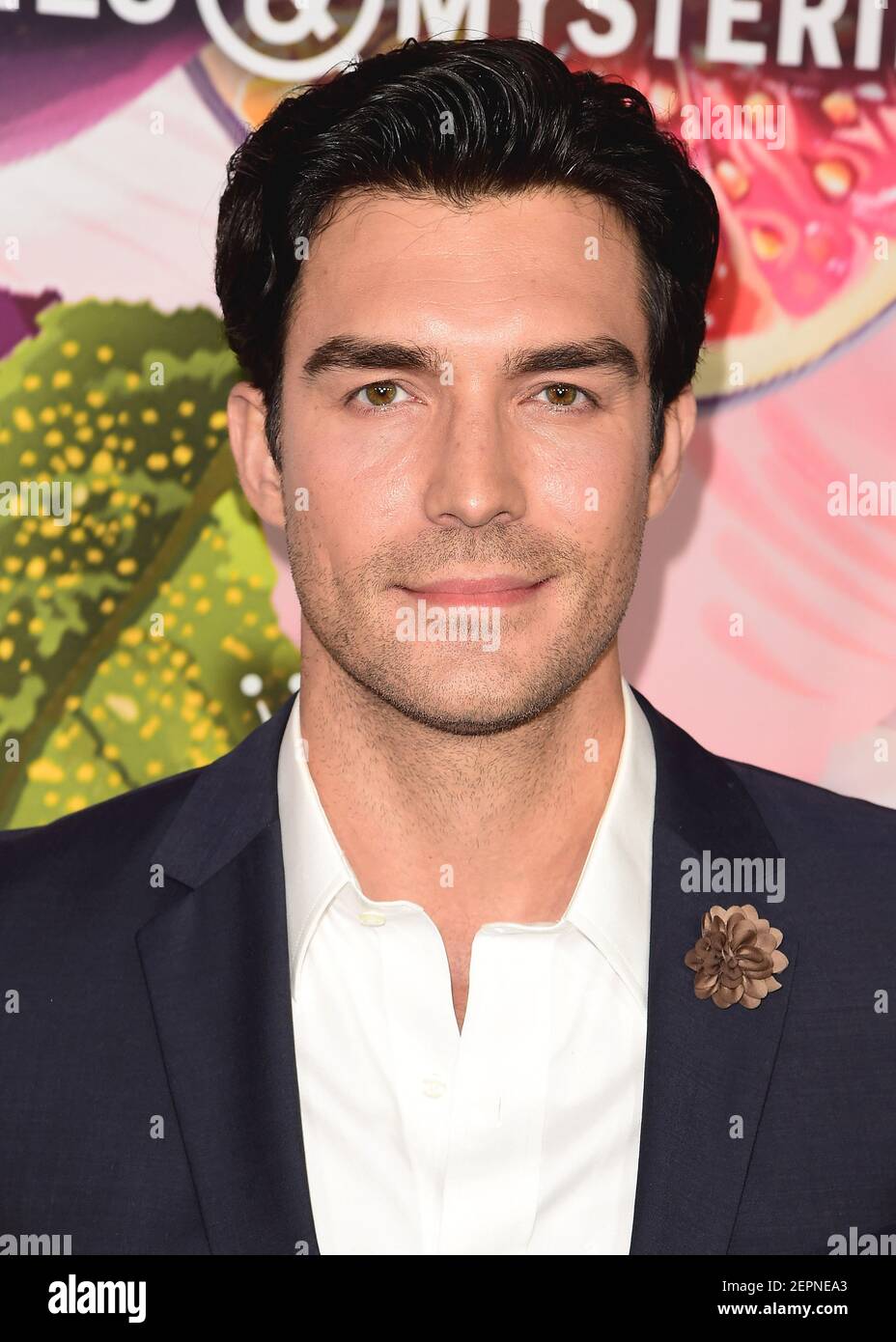 PASADENA, CA - JANUARY 13: Peter Porte at the Hallmark Channel and ...