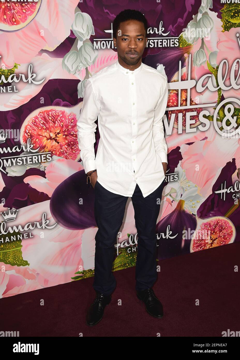 PASADENA, CA - JANUARY 13: Dewshane Williams at the Hallmark Channel ...