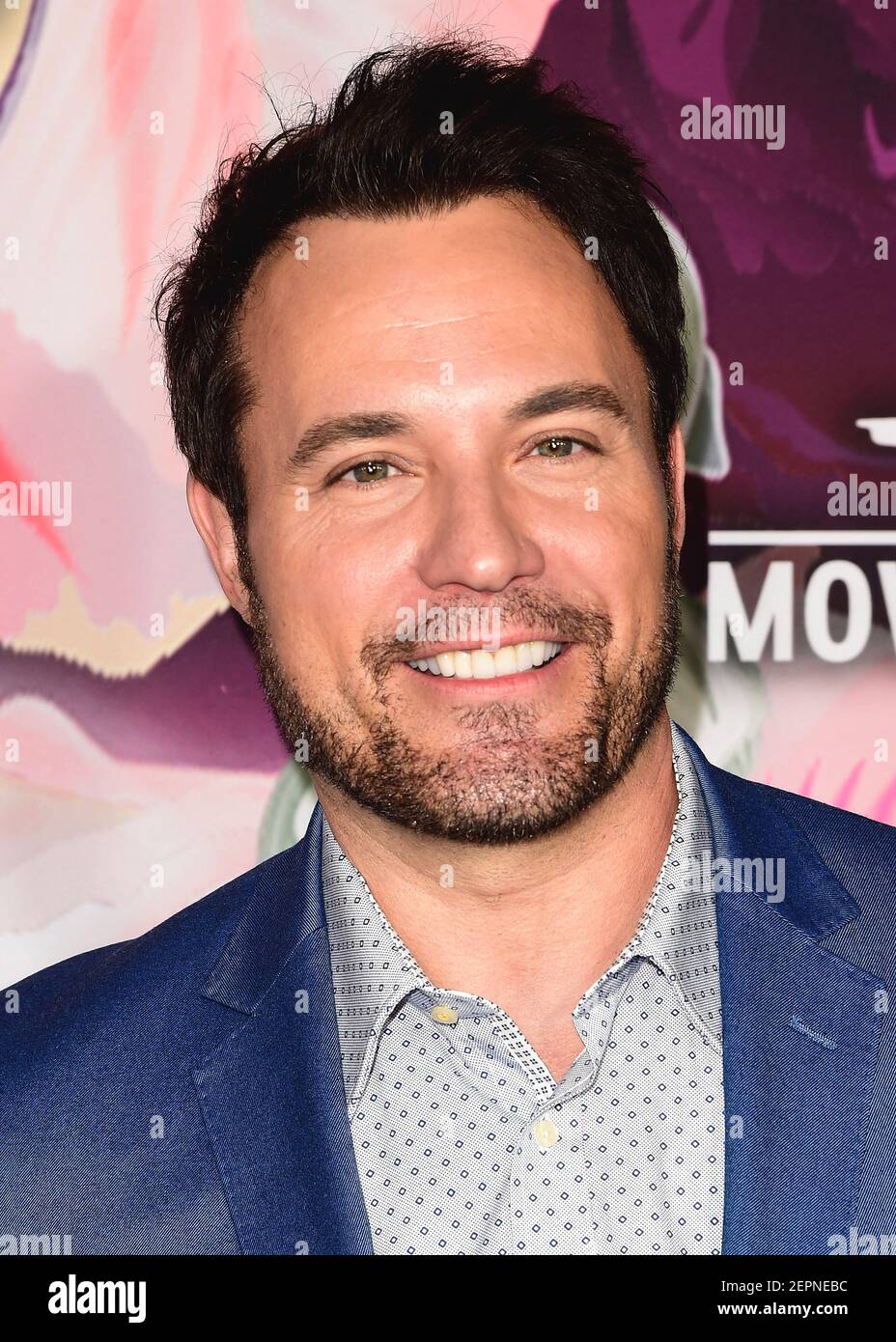 PASADENA, CA - JANUARY 13: David Haydn-Jones at the Hallmark Channel ...