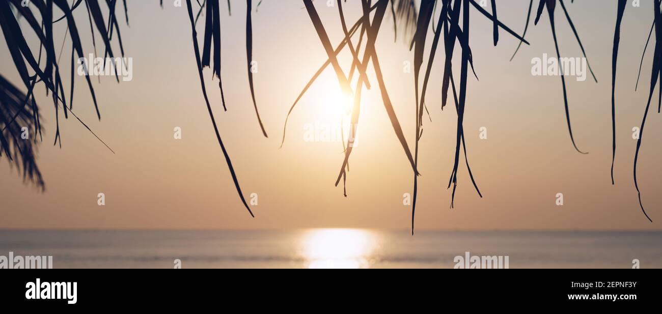 Tropical nature clean beach sunset sky time with sun light cover banner ...