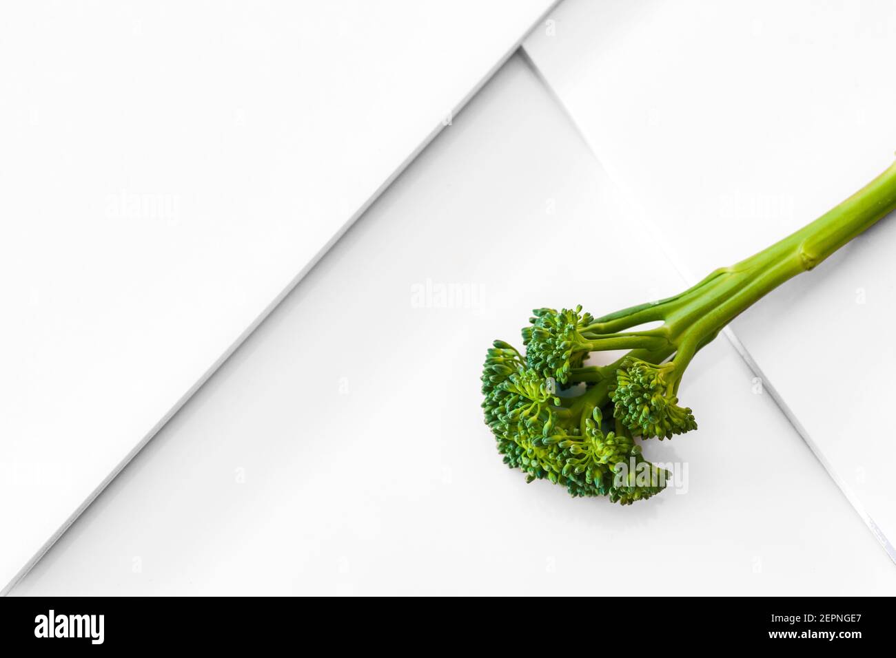 Top view of fresh broccoli sprig representing concept of healthy ...