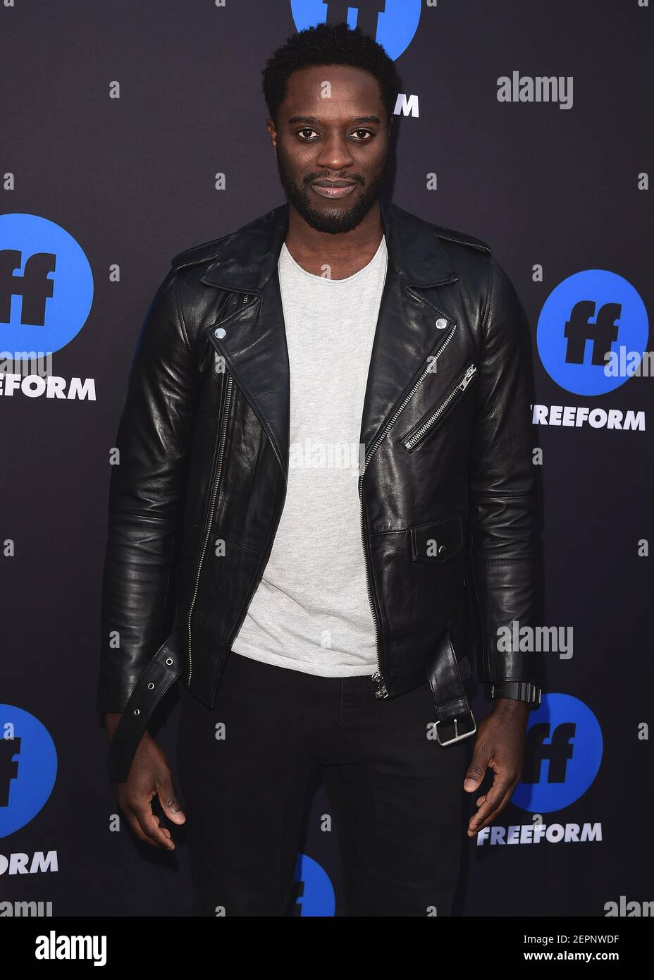 HOLLYWOOD, CA - JANUARY 18: Matt Ward at the Freeform Summit at ...