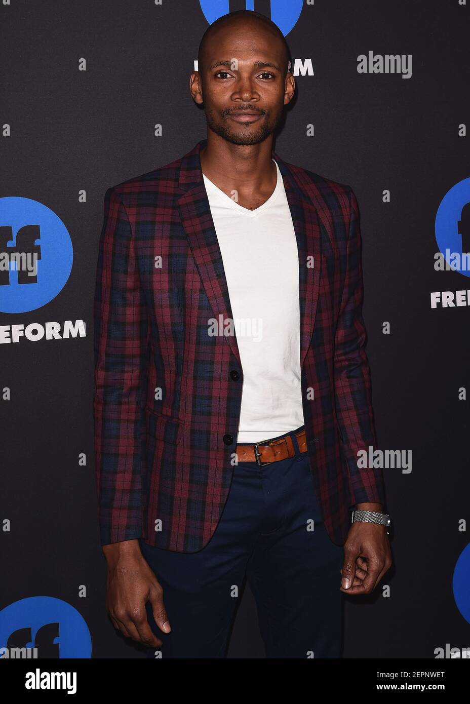HOLLYWOOD, CA - JANUARY 18: Sedale Threatt at the Freeform Summit at ...