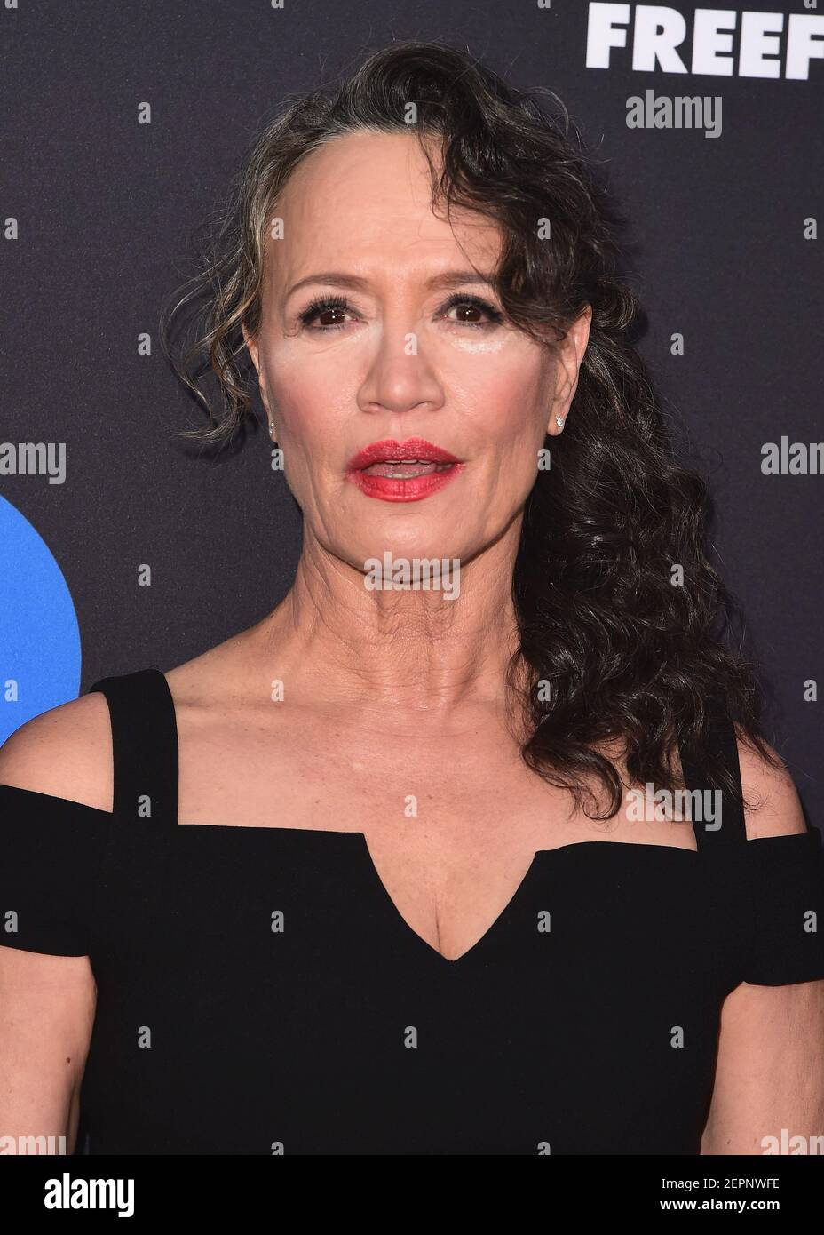 HOLLYWOOD, CA - JANUARY 18: Rena Owen at the Freeform Summit at ...