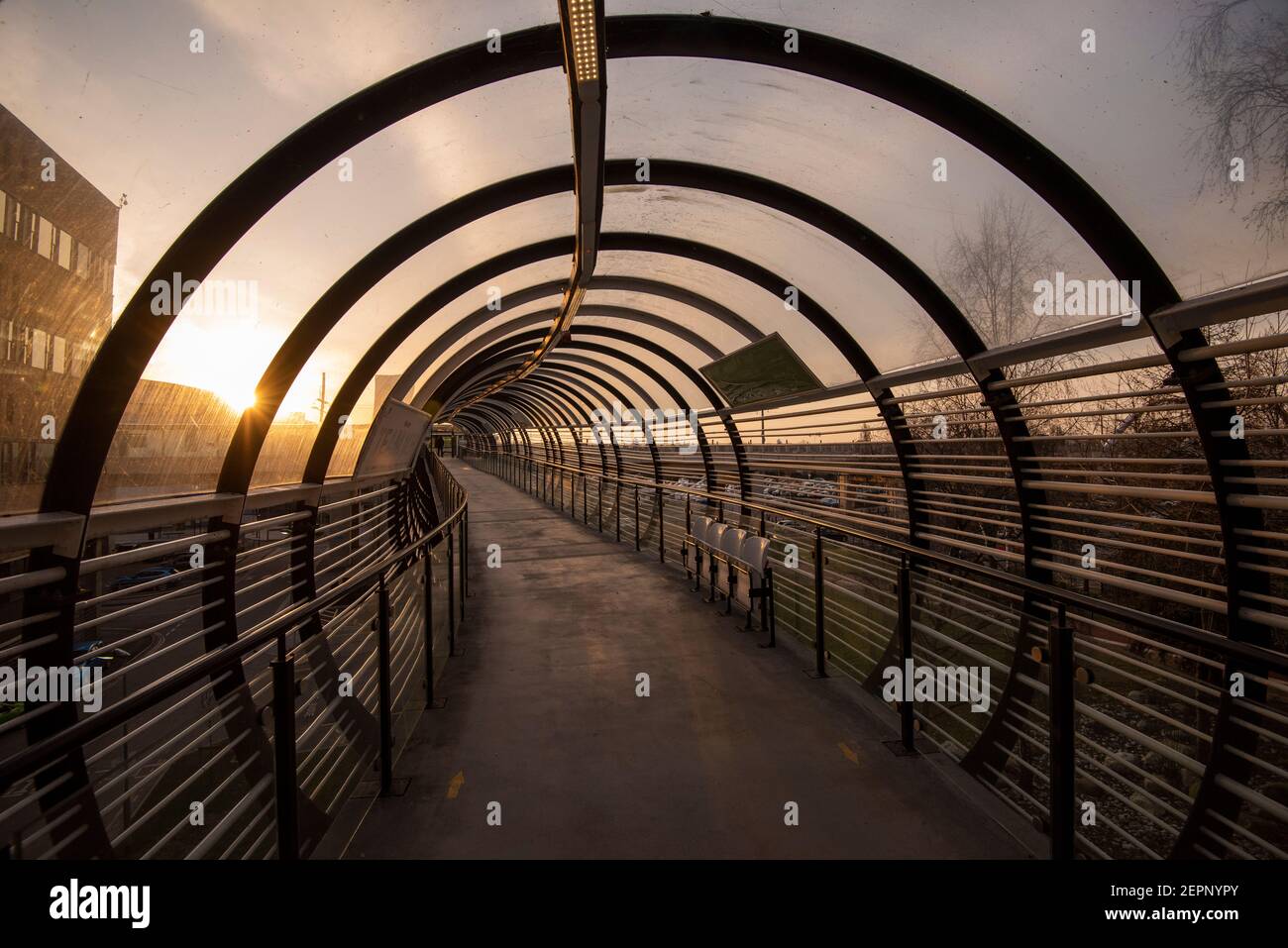 Morning light on the Sir Peter Mansfield tram bridge at the Queens ...