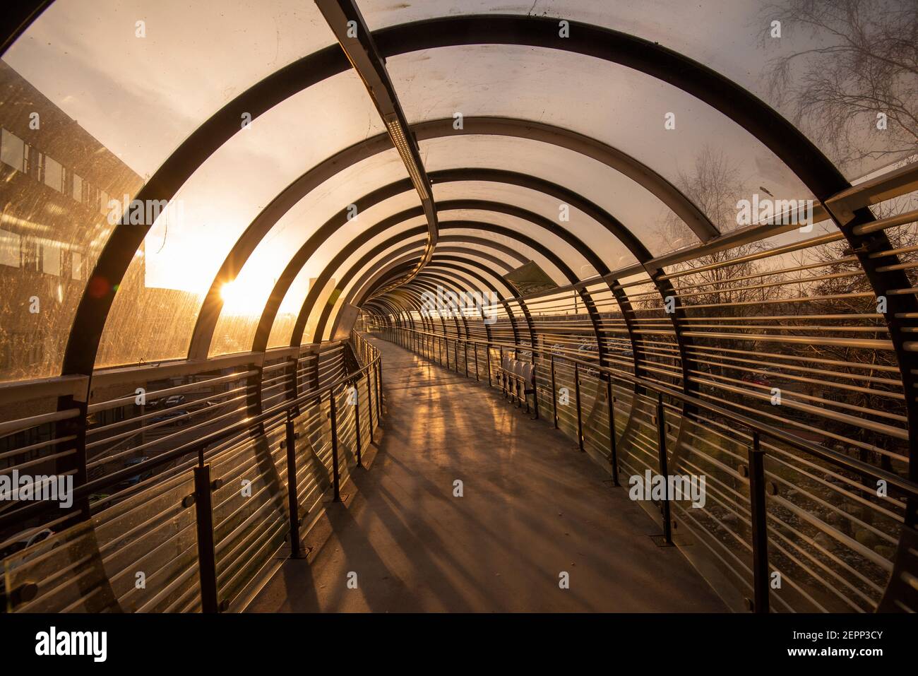 Peter mansfield mri hi-res stock photography and images - Alamy