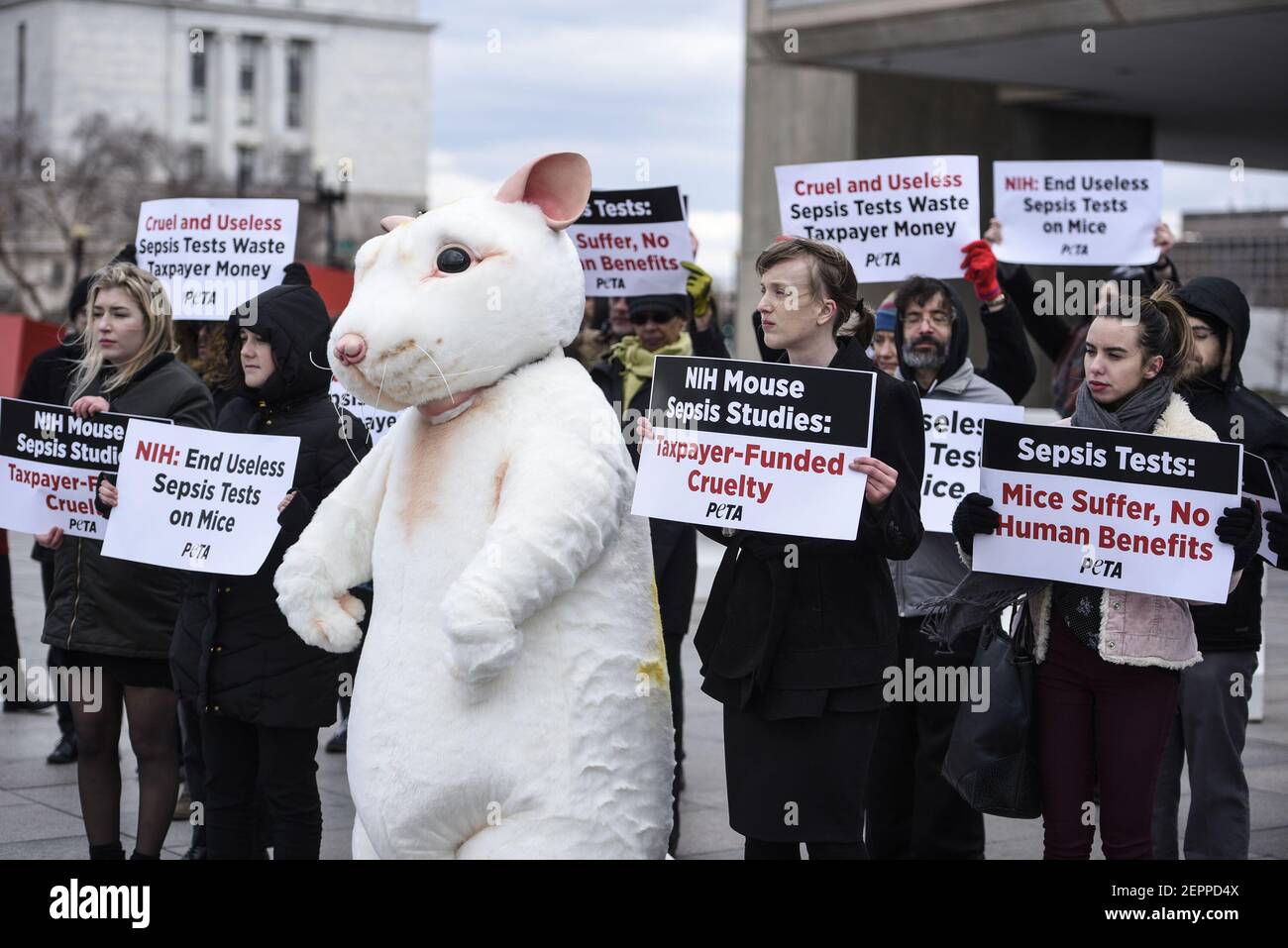PETA animal rights demonstrators hold signs to protest sepsis ...