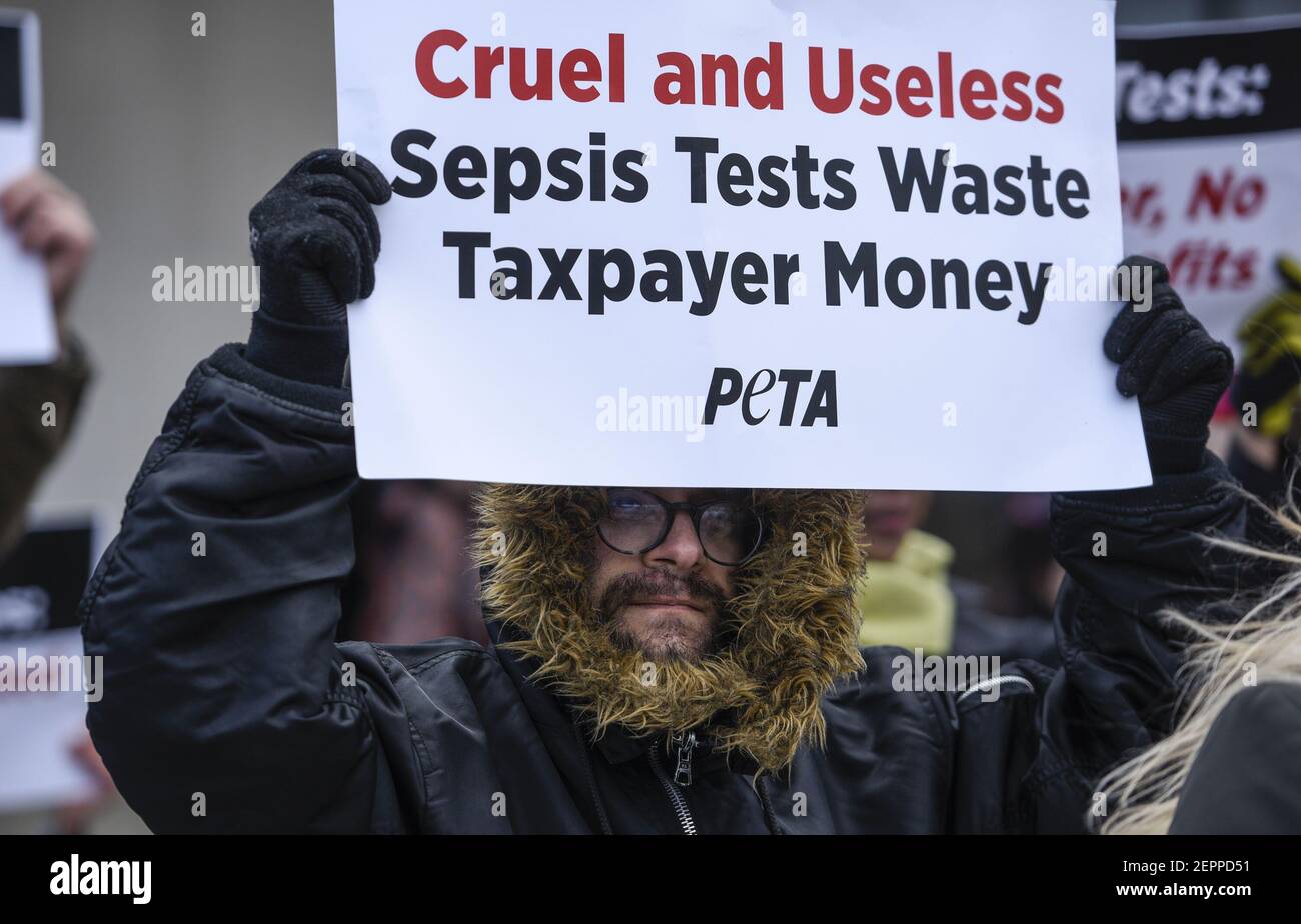 PETA animal rights demonstrators hold signs to protest sepsis ...