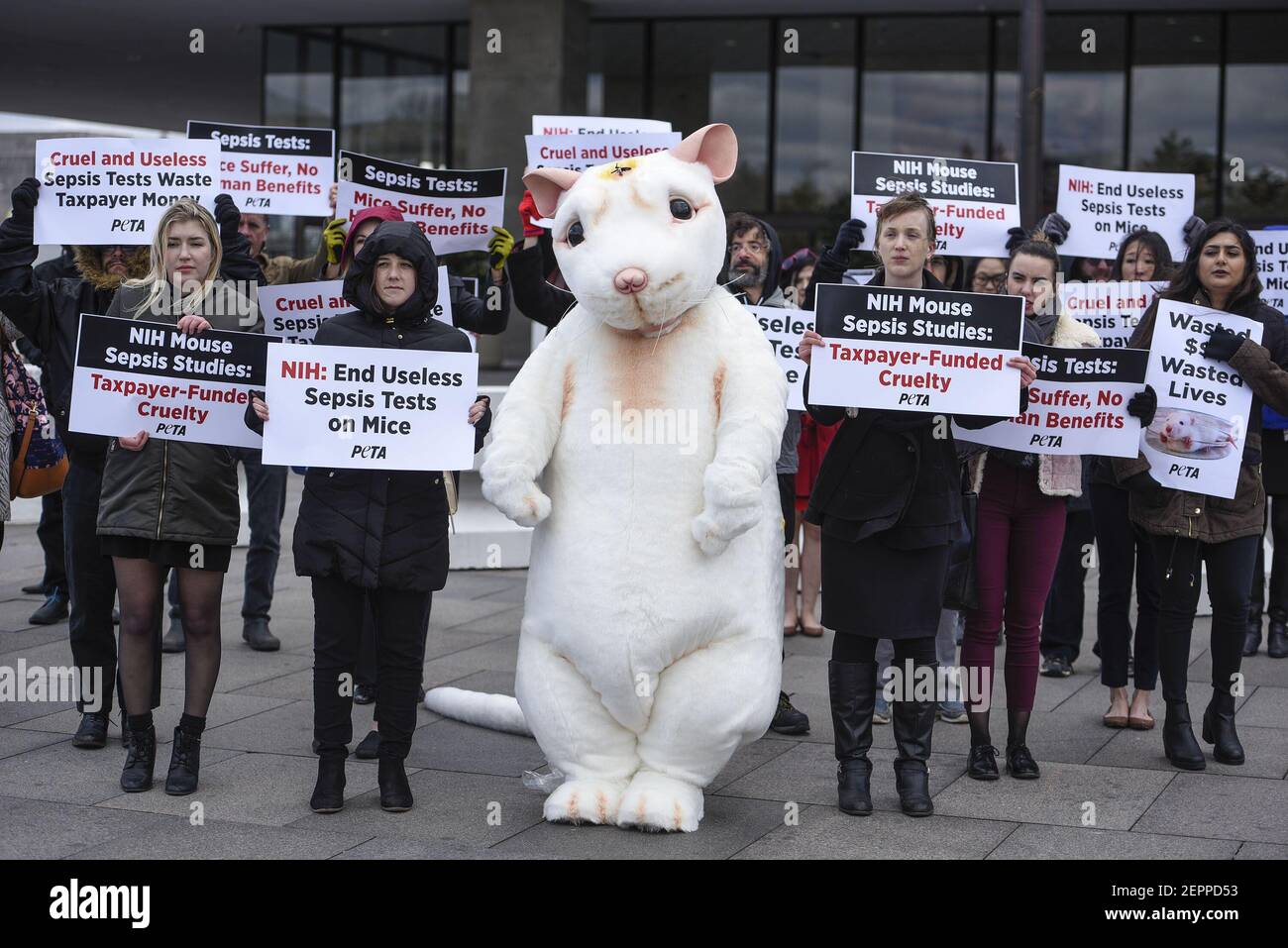 PETA animal rights demonstrators hold signs to protest sepsis ...