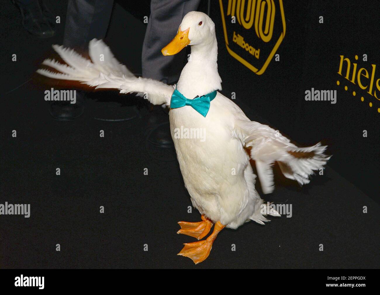 The Aflac Duck attends attends 2018 Billboard Power 100 at Nobu 57 in New York, NY, on January ...
