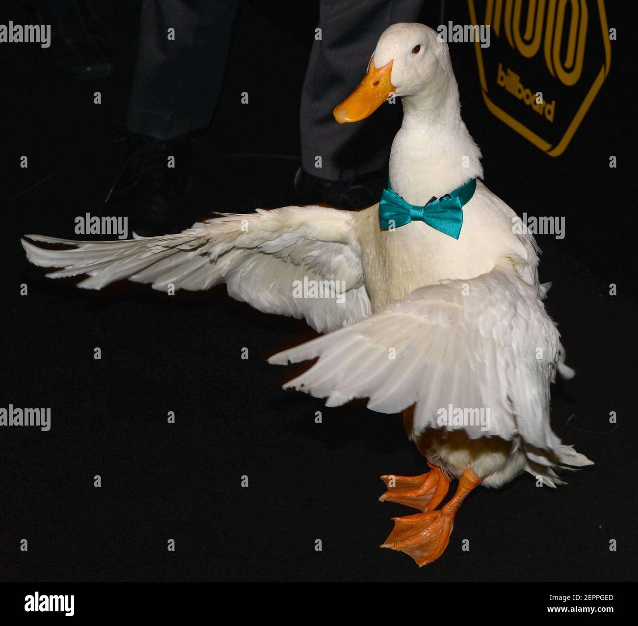 The Aflac Duck attends attends 2018 Billboard Power 100 at Nobu 57 in ...