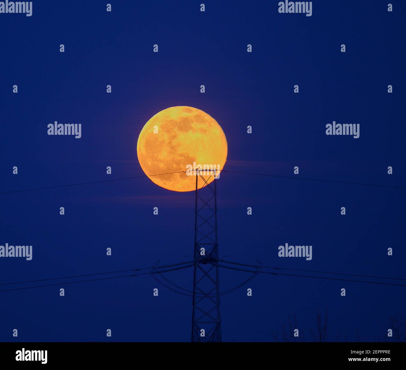 Circle of wires hi-res stock photography and images - Alamy