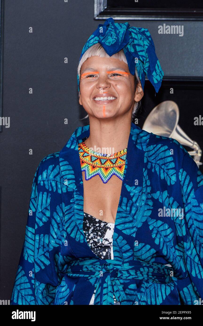 Liliana Saumet of Bomba Estéreo arrives at the 60th Annual GRAMMY ...