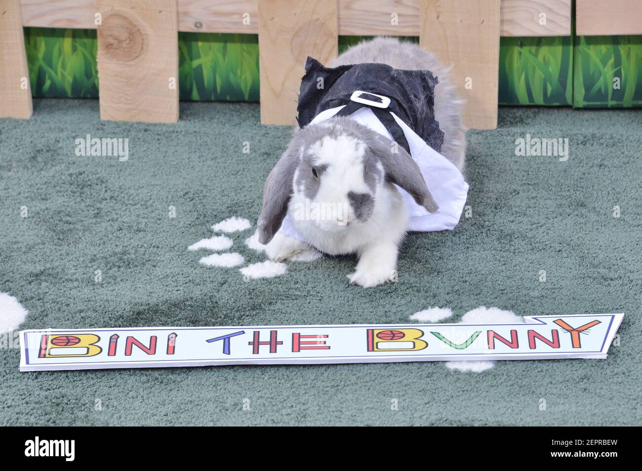 Bini The Bunny at the "Peter Rabbit" Los Angeles Premiere held at The ...