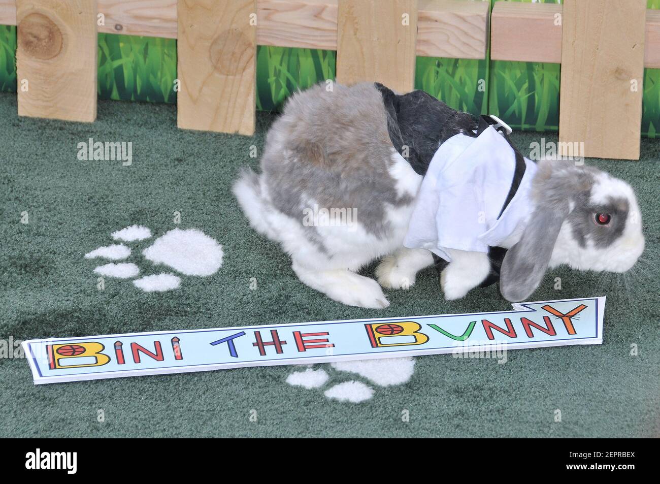 Bini The Bunny at the "Peter Rabbit" Los Angeles Premiere held at The ...