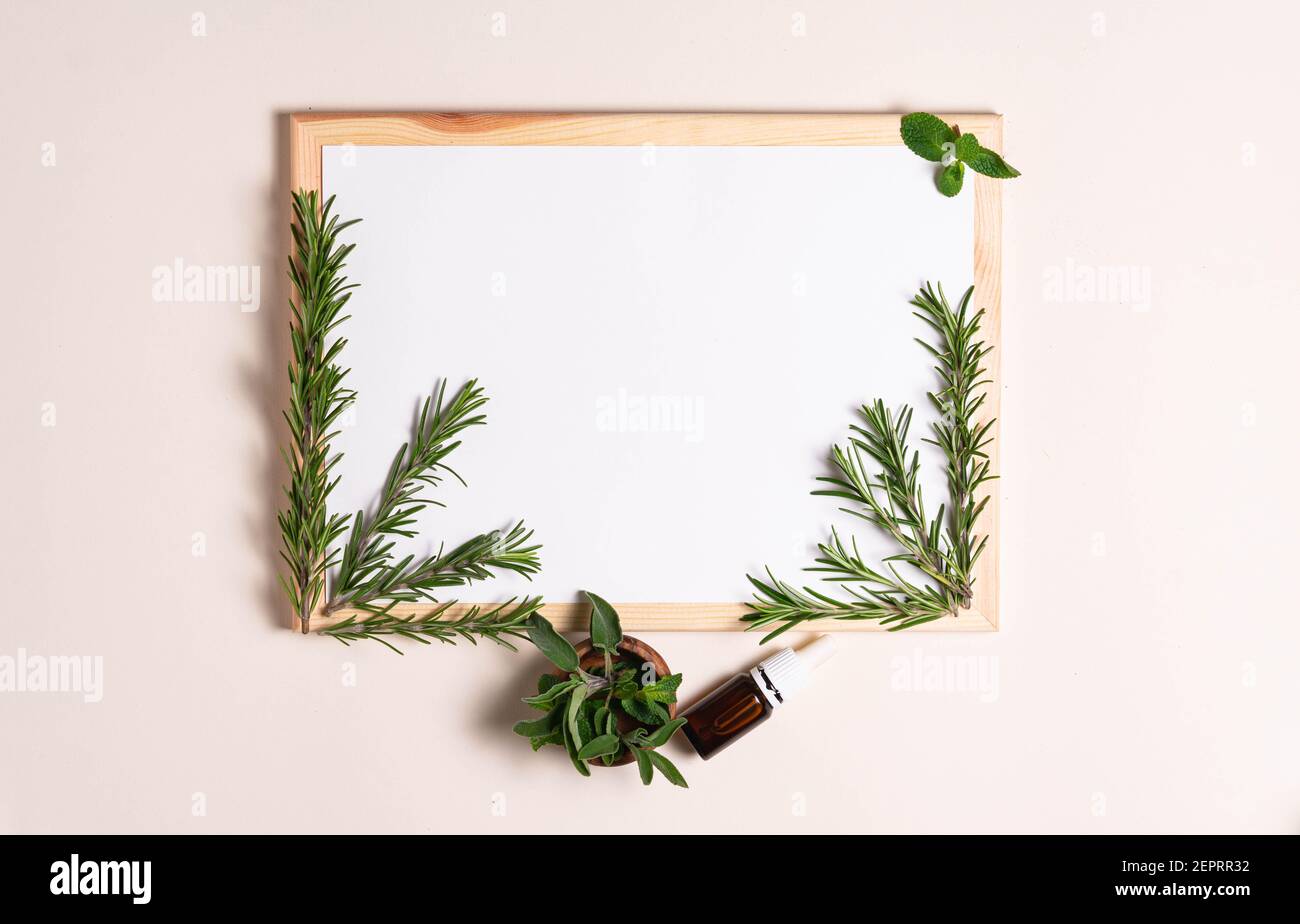 Rosemary plant label hi-res stock photography and images - Alamy