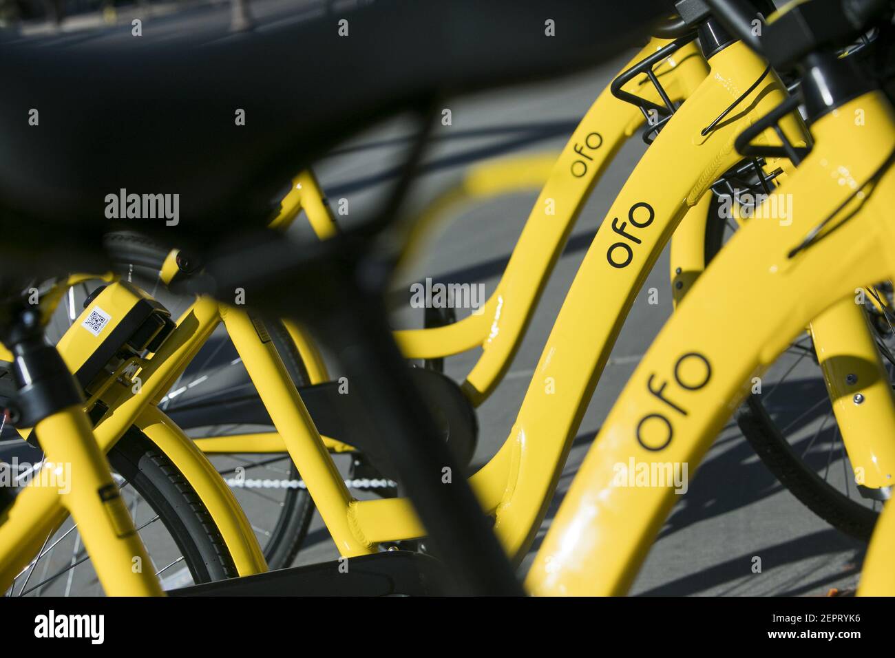 A row of Ofo dock-less bicycle-sharing bikes in Tempe, Arizona, on ...