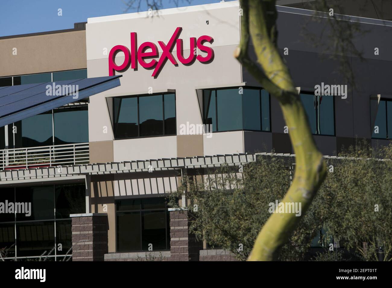 Plexus Slim Logo Vector