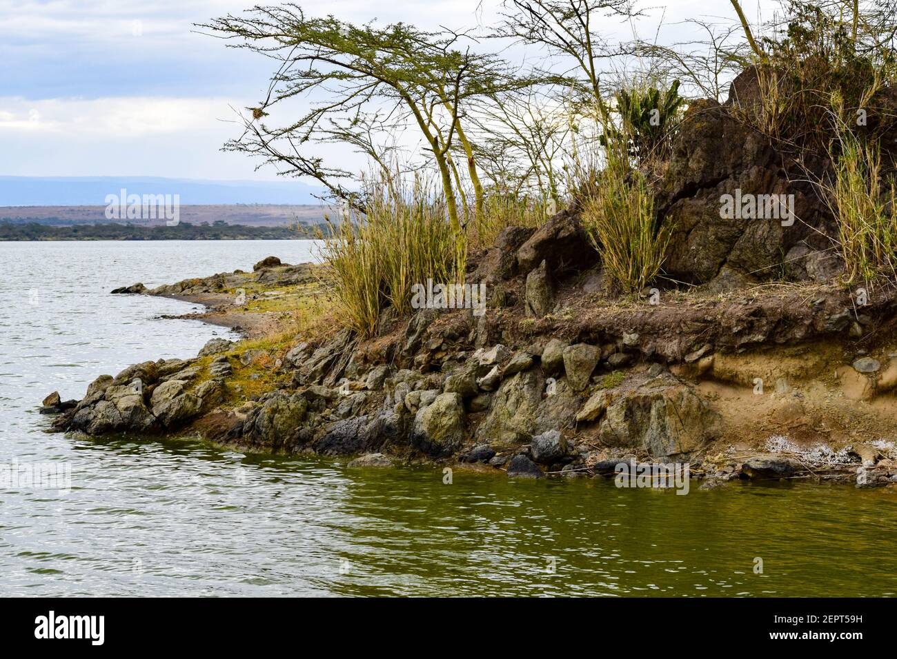 landscape of elementaita lake Stock Photo - Alamy