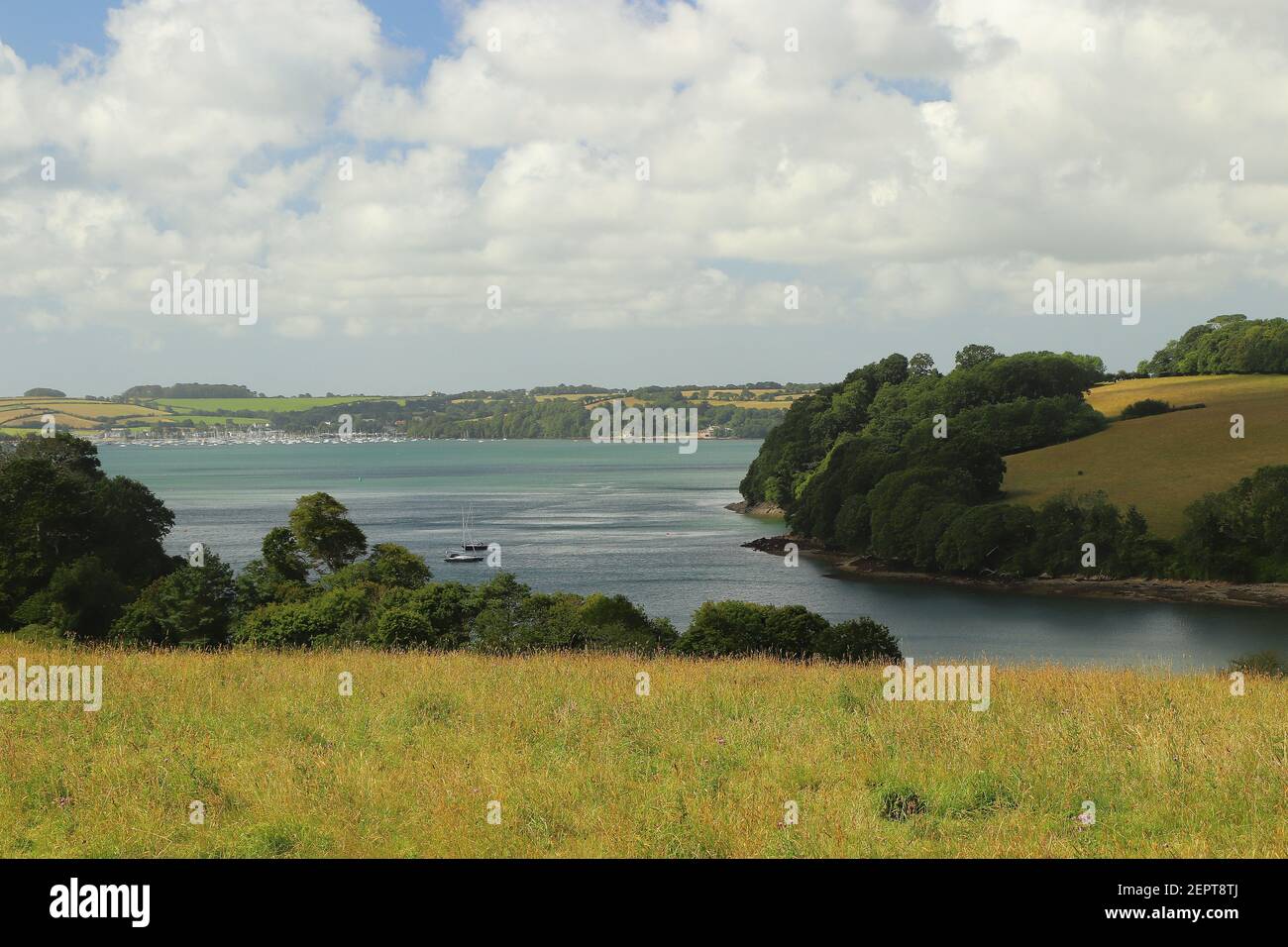 View over the river Fal from the meadows of Trelissick gardens Stock ...
