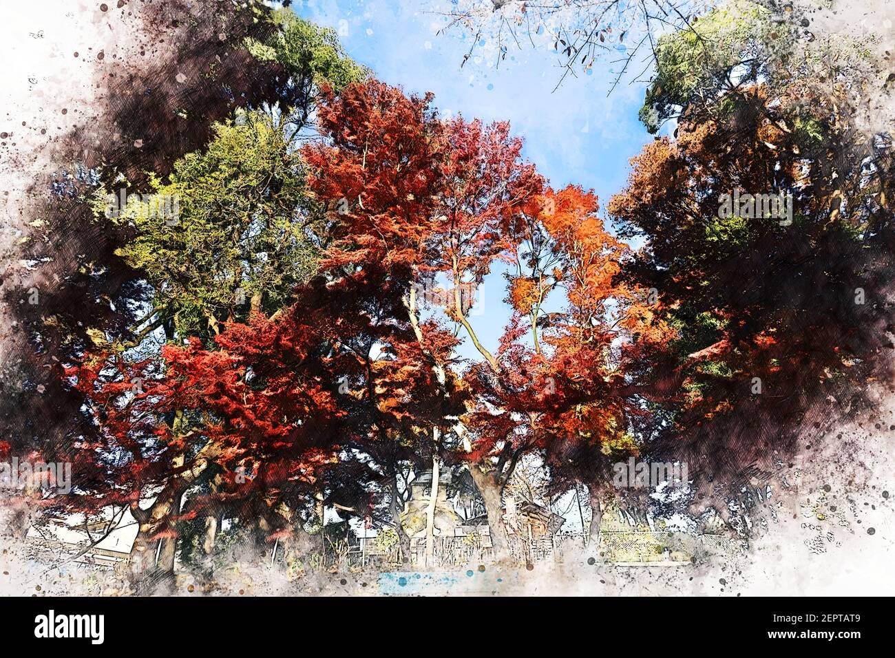 Abstract colorful branch tree in forest on watercolor illustration ...