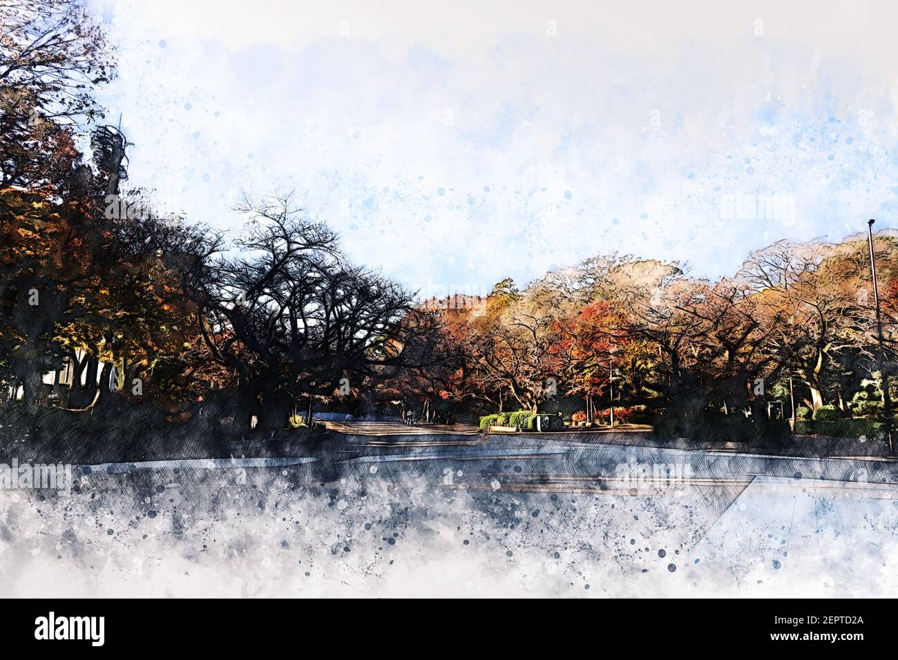 Abstract colorful branch tree in forest on watercolor illustration ...