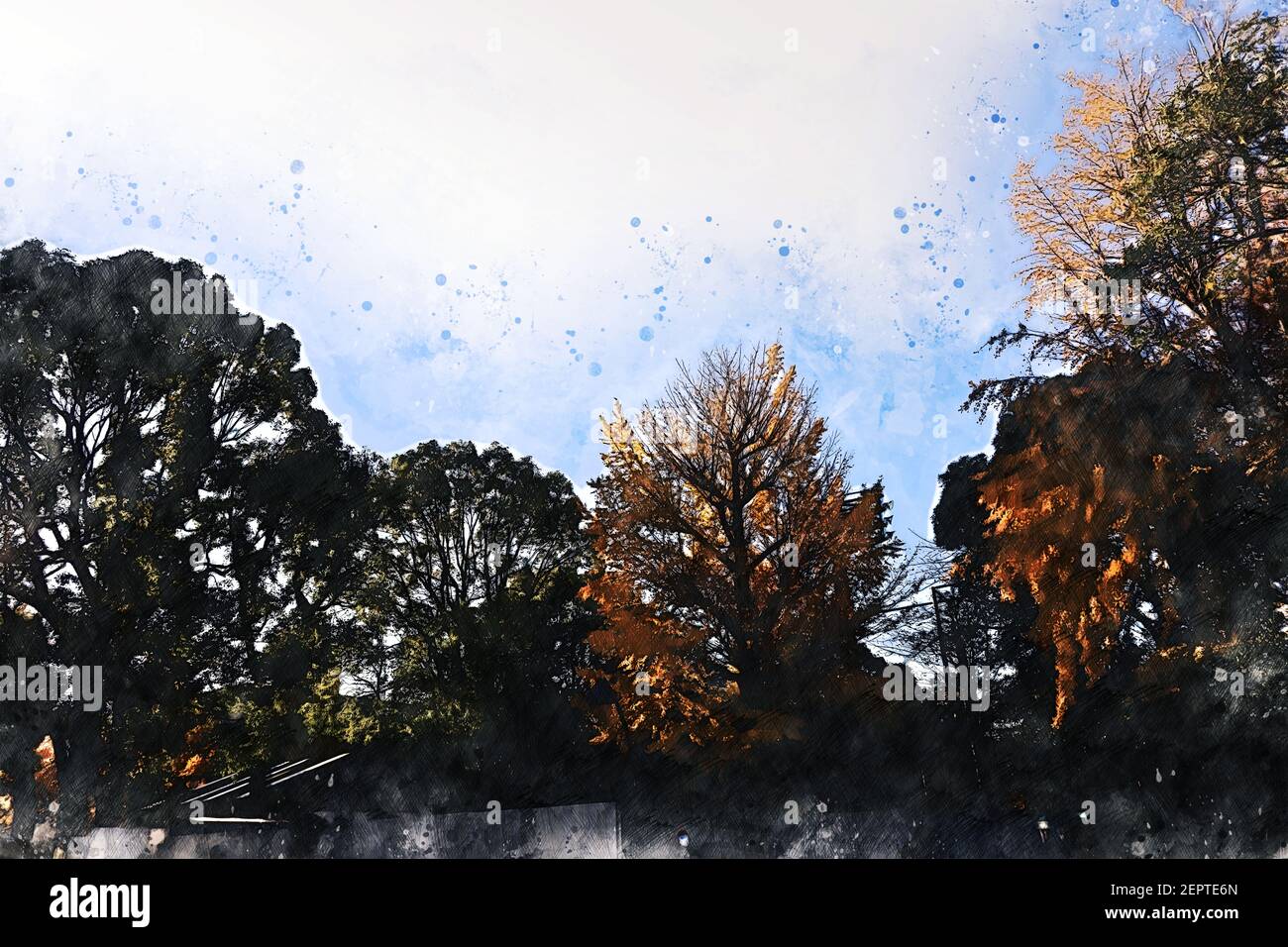 Abstract colorful branch tree in forest on watercolor illustration ...