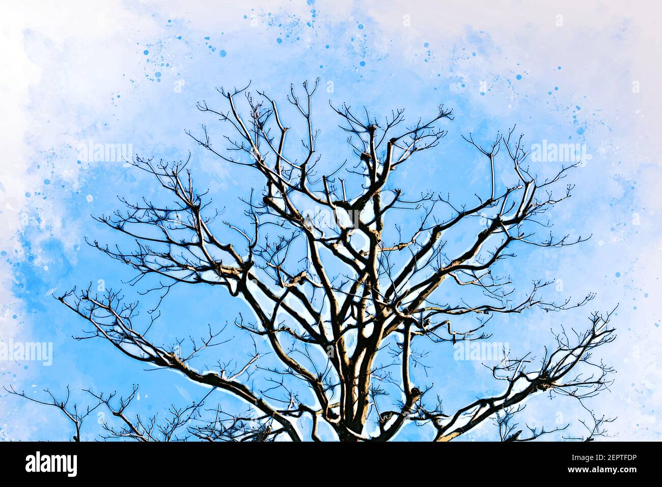 Abstract colorful branch tree in forest on watercolor illustration ...