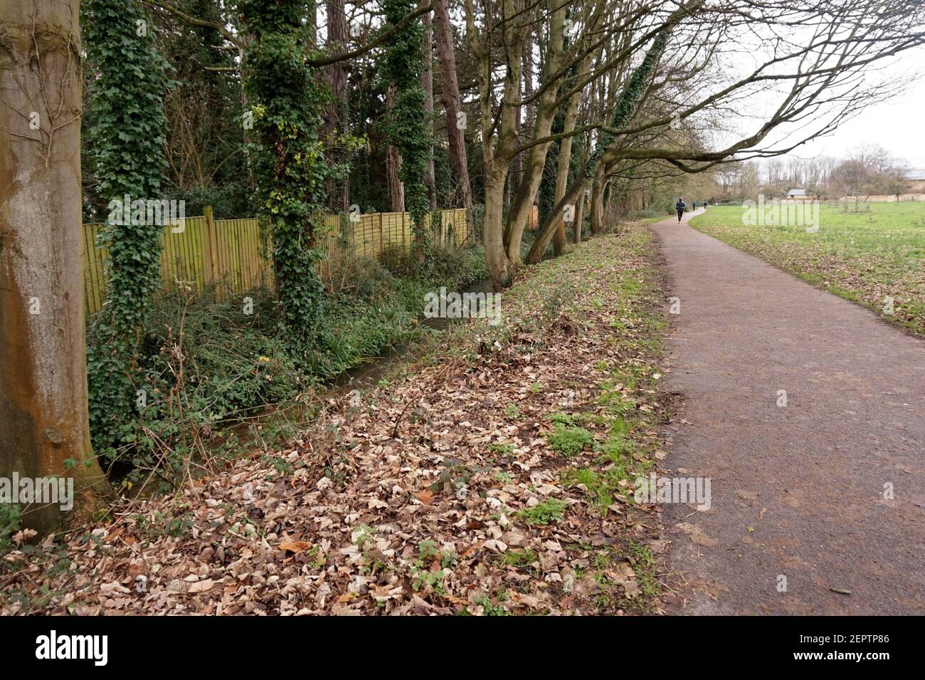 Vicars brook hi-res stock photography and images - Alamy