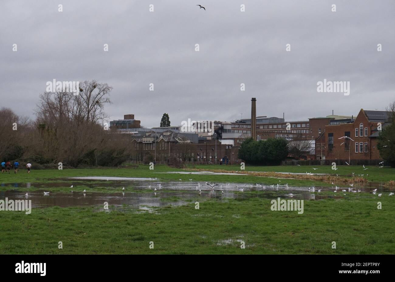 Coe Fen in near the city centre flooded in winter, Cambridge, UK Stock ...