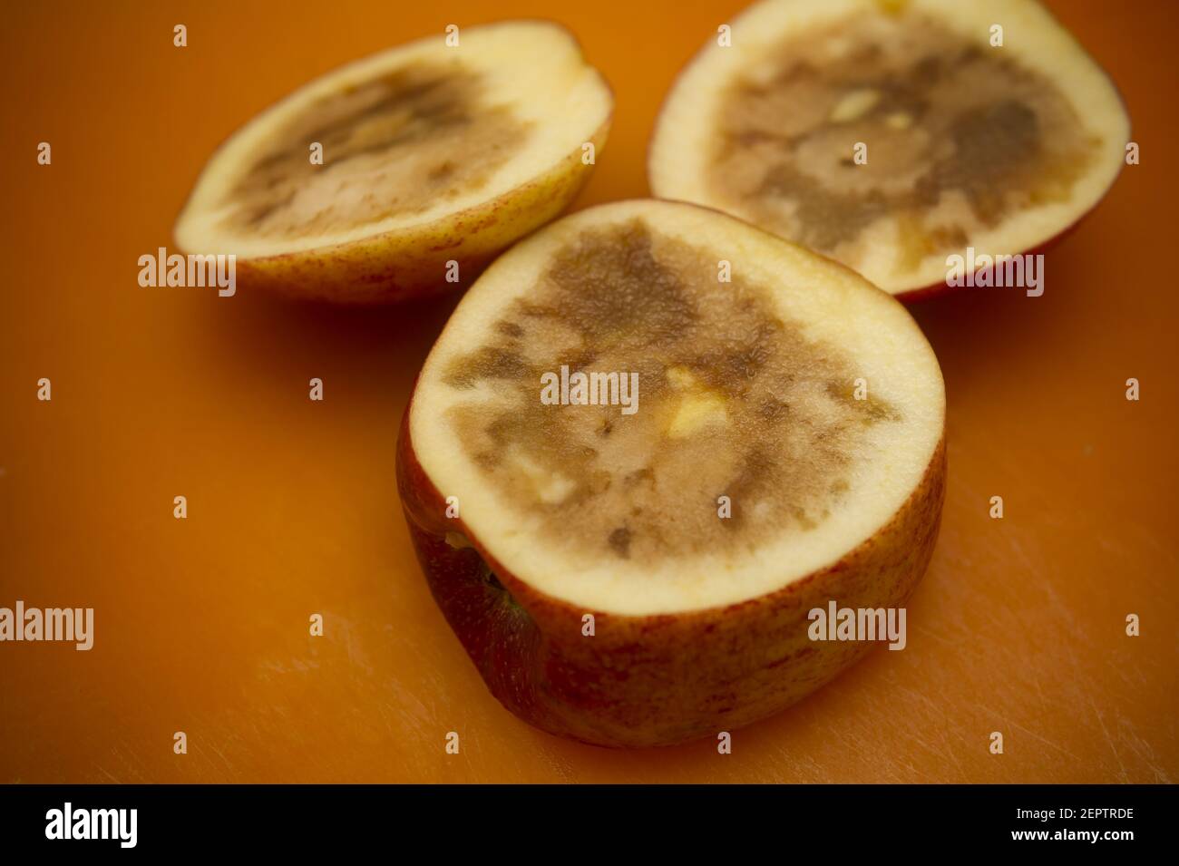 An apple cut open reveals the presence of core rot, seen in New York on ...