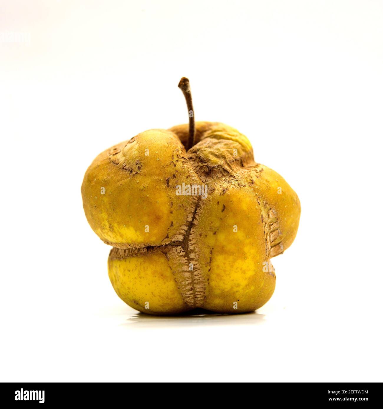 Unique yellow fruit with a wrinkled texture resting on a white ...