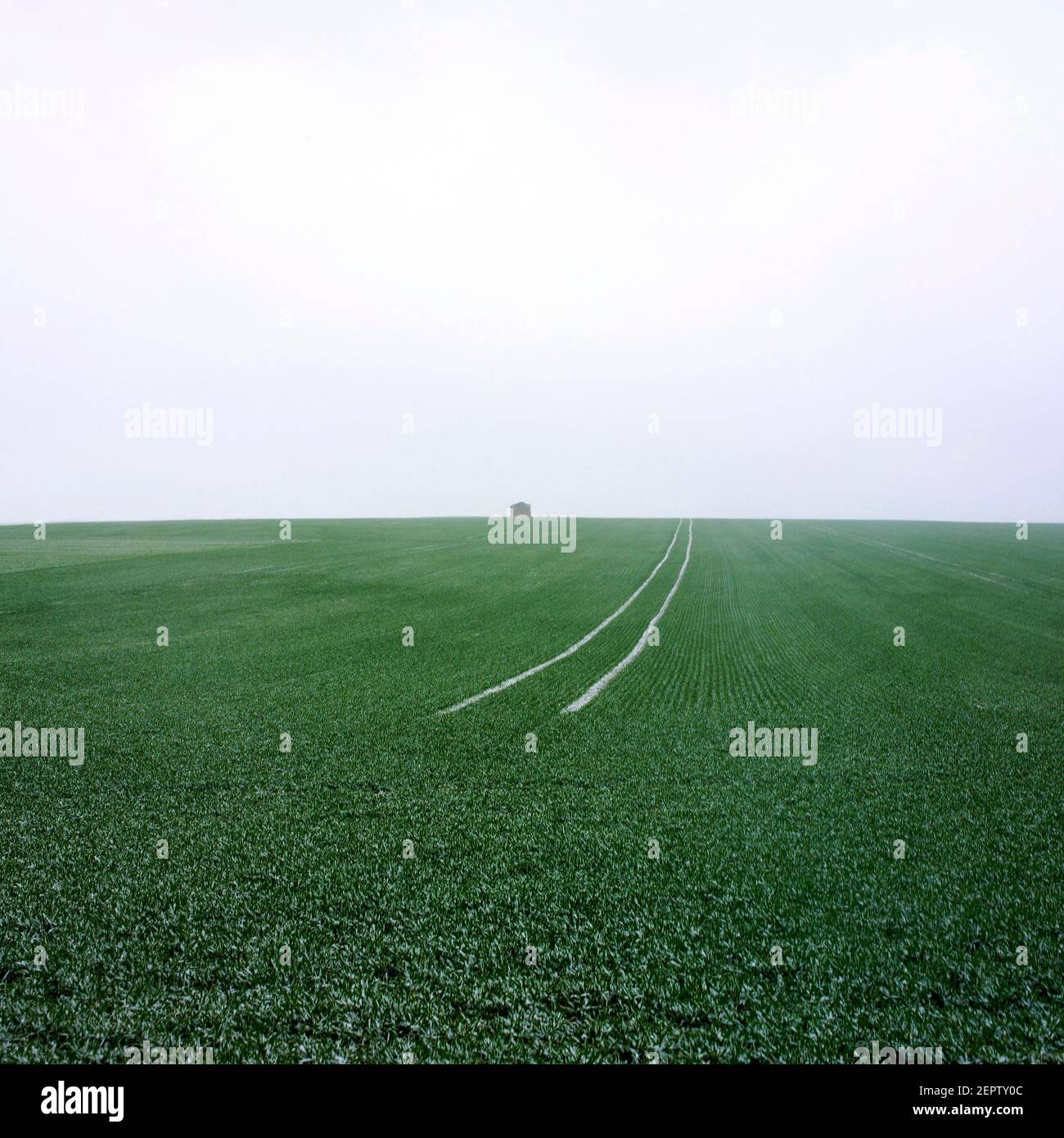 A vast green field stretches under a cloudy sky with faint tire marks ...