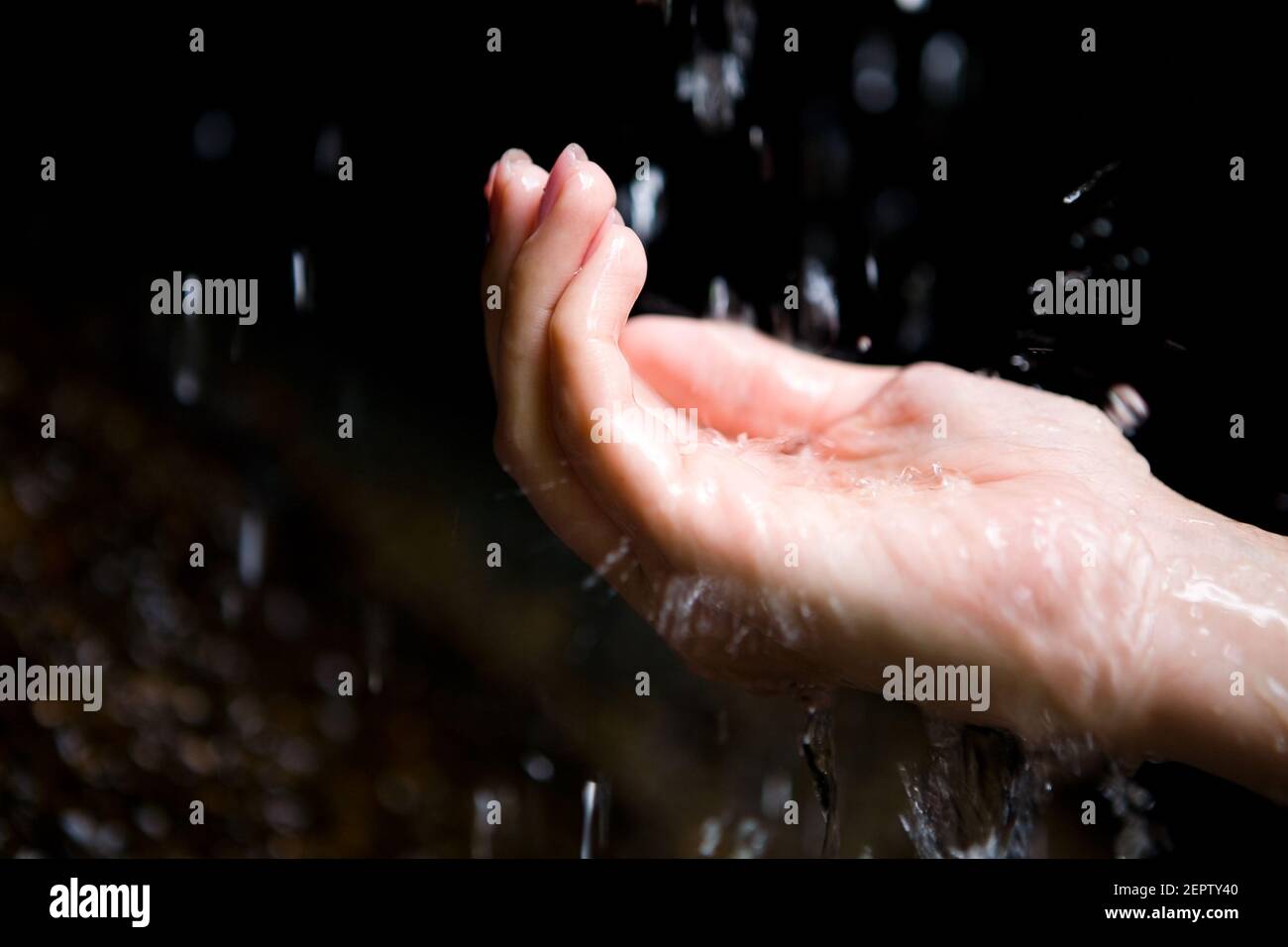 Drops of water drip onto a beautiful well-groomed female hand. Body ...