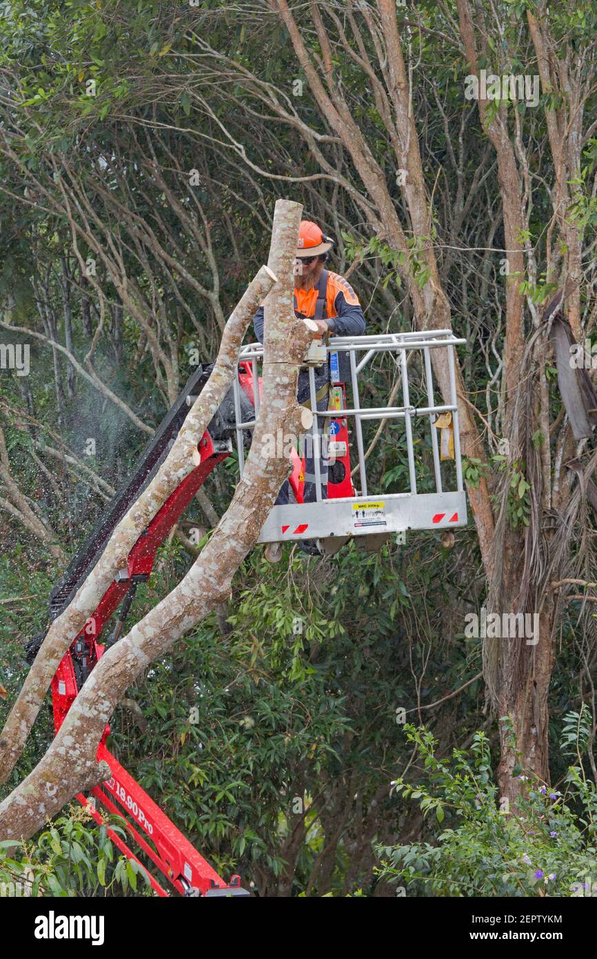 Mechanical tree picker hi-res stock photography and images - Alamy