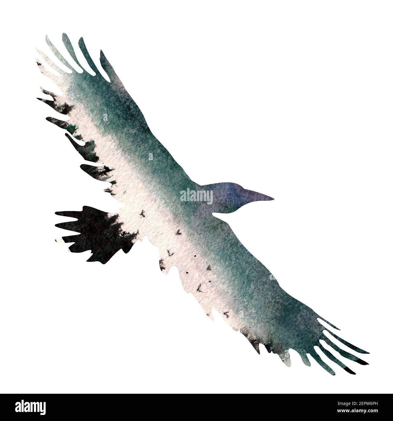 Silhouette of a bird of a crow on a forest background. Insulated ...