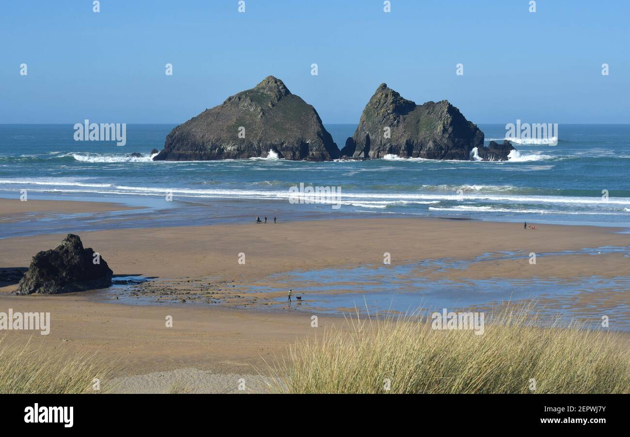Gull rocks hi-res stock photography and images - Alamy