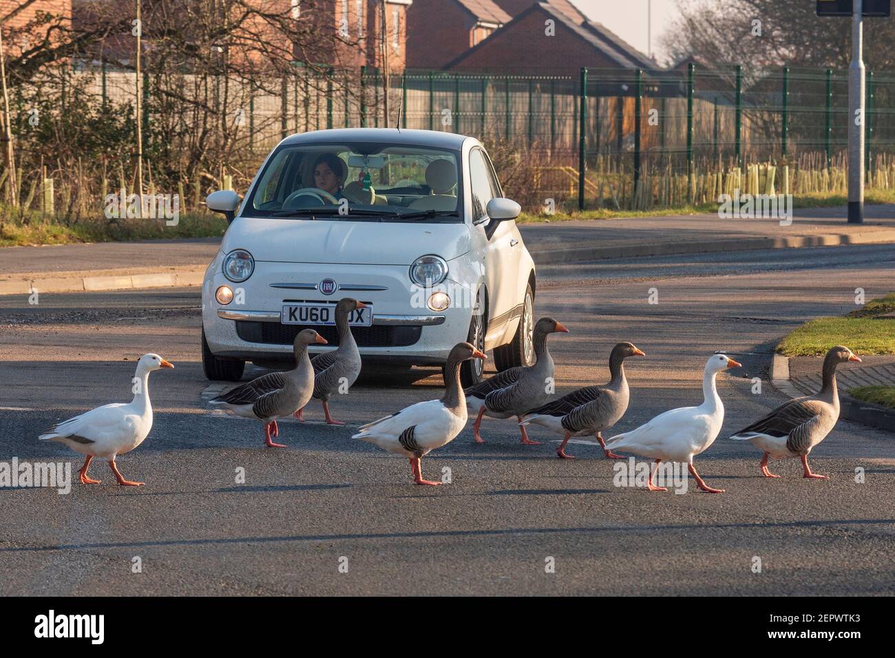 Road hold up hi-res stock photography and images - Alamy