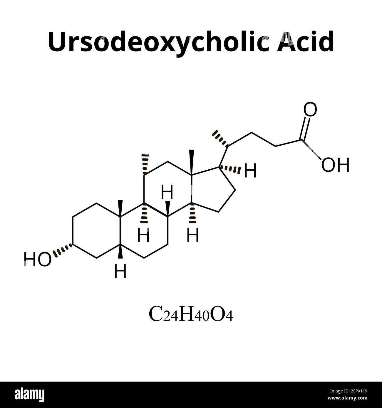 Ursodeoxycholic acid. Chemical molecular formula of bile acids. Vector ...