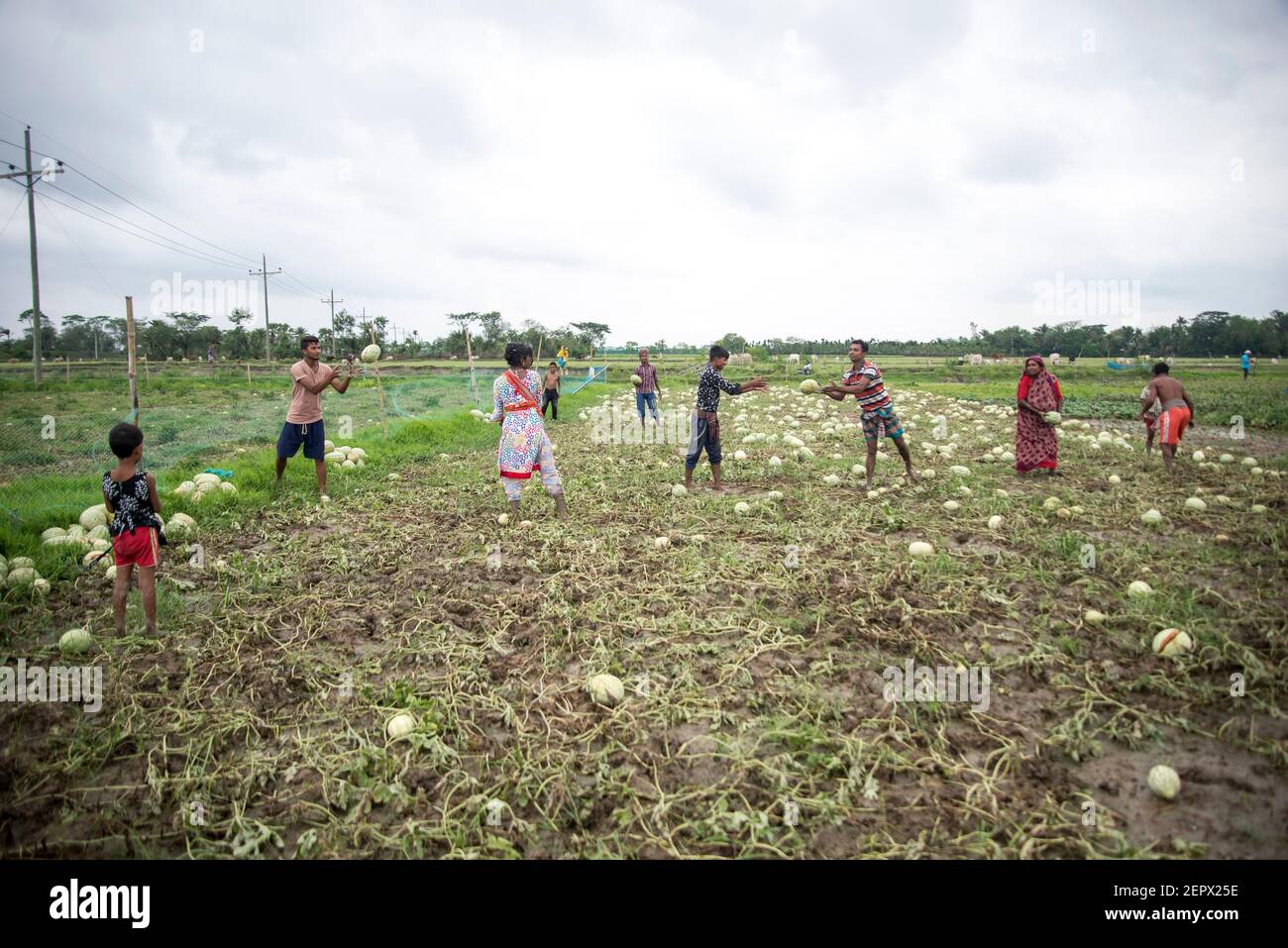 All worker involve here with water melon and alligator peart ...