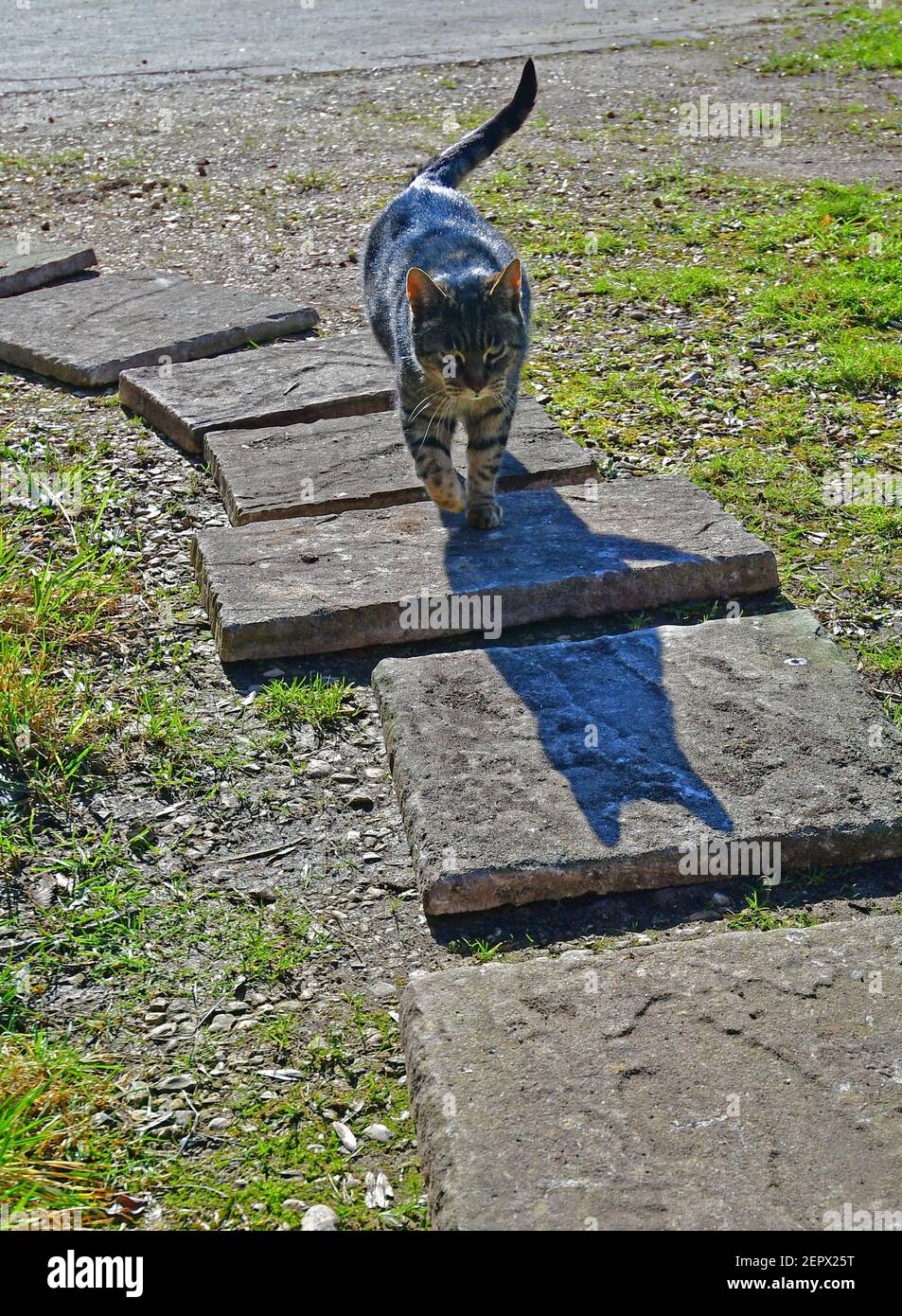 Cleeve house hi-res stock photography and images - Alamy