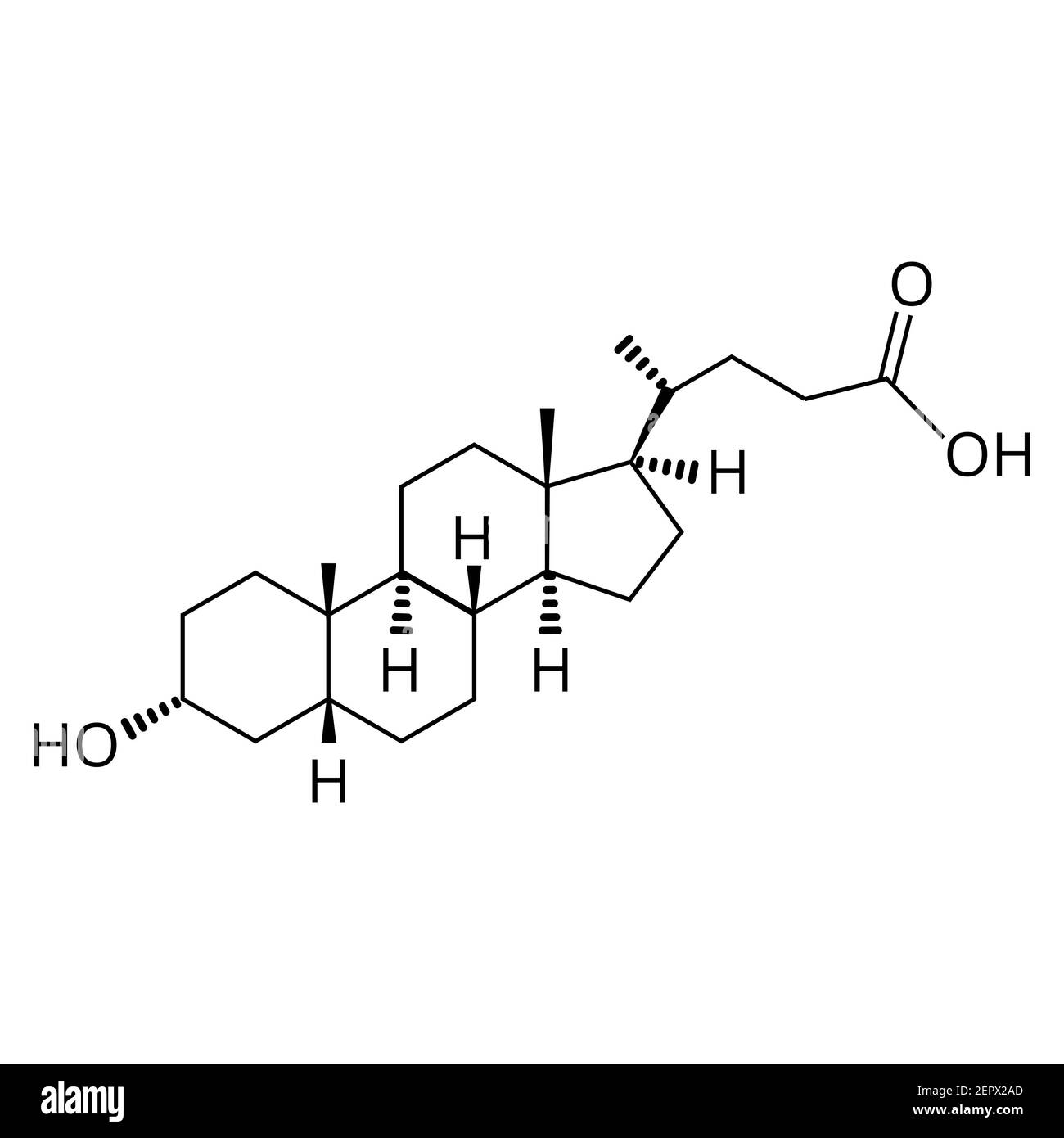 Lithocholic acid. Bile acid. Chemical molecular formula Lithocholic ...