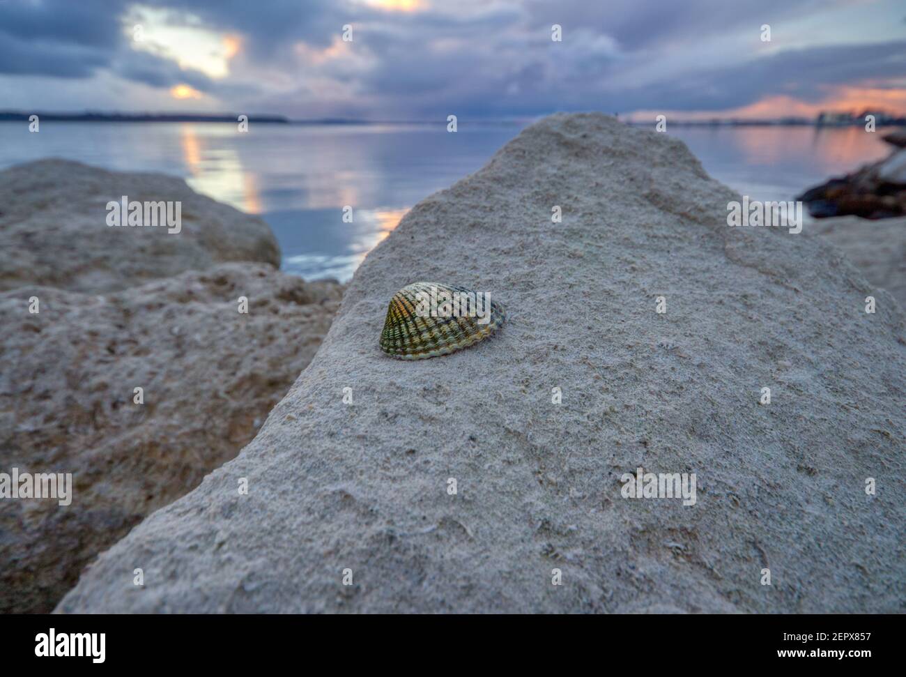 Cockle hill hi-res stock photography and images - Alamy