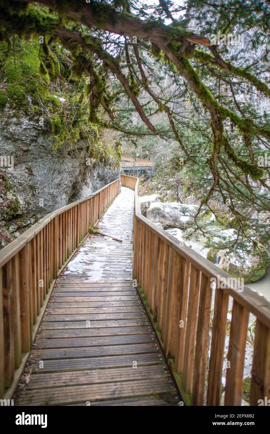 Horma Canyon is one of the many canyons in the Küre Mountains National ...