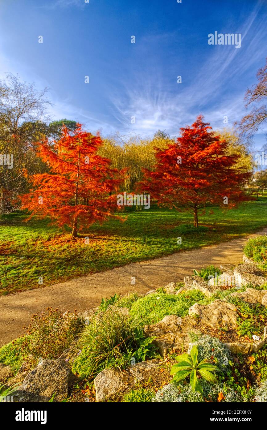 Bournemouth gardens rockery hi-res stock photography and images - Alamy