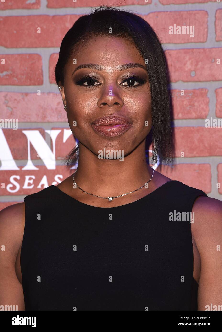 LOS ANGELES - FEBRUARY 19: Gail Bean at the red carpet event for FX's ...